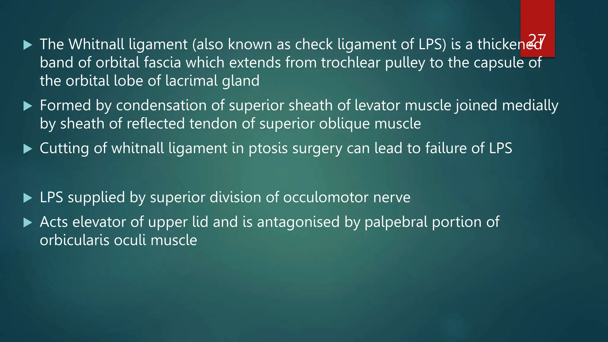 anatomy of eyelid ophthalmology presentation | PPTX