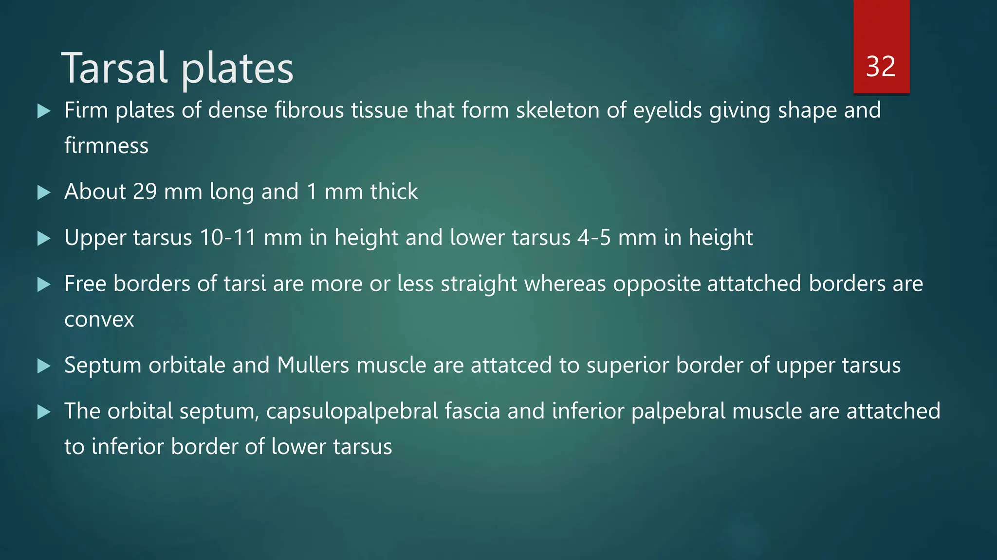 anatomy of eyelid ophthalmology presentation | PPTX