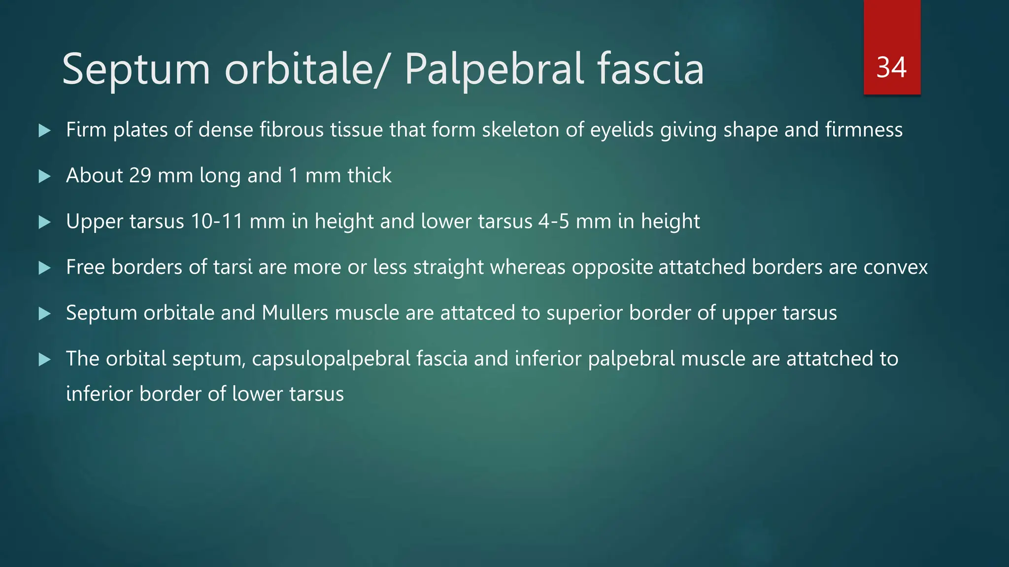 anatomy of eyelid ophthalmology presentation | PPTX