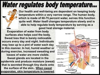 122-Water.ppt