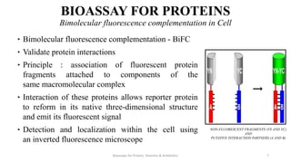 Bioassays for protein, Vitamins and Antibiotics | PPTX | Medical Tests ...