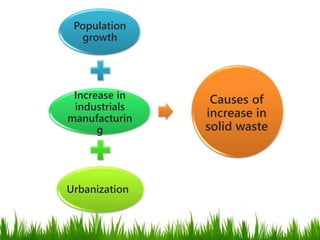 Solid Waste Management | PPTX
