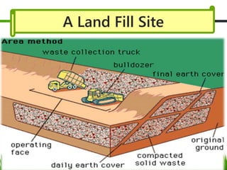 Solid Waste Management | PPTX