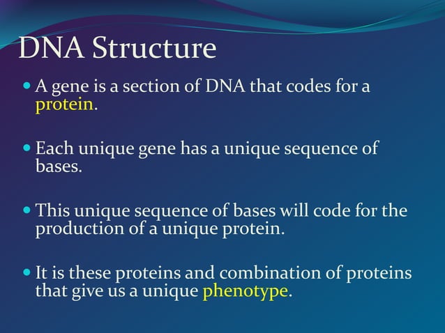 122224219-DNA-RNA-Protein-Synthesis.pptx | Programming Languages ...