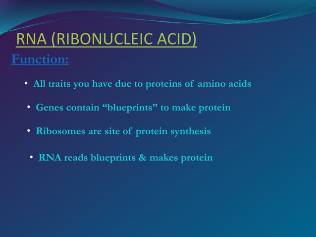 122224219-DNA-RNA-Protein-Synthesis.pptx | Programming Languages ...