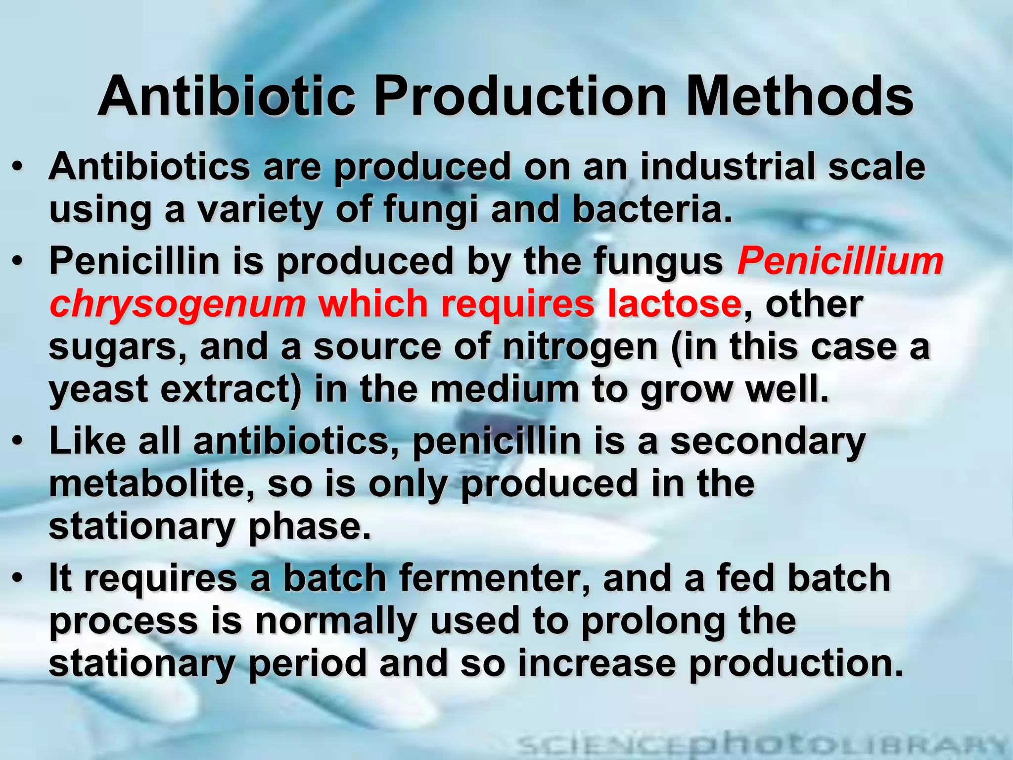 1226_Penicillin production.ppt