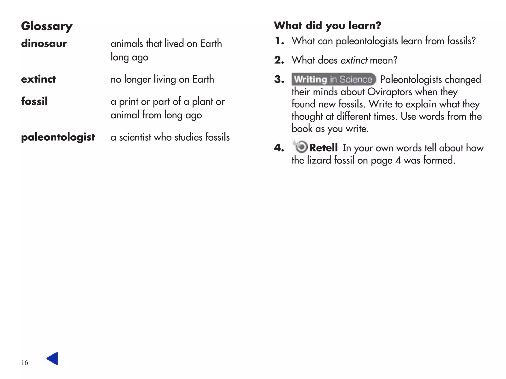 Fossils and Dinosaurs | PDF