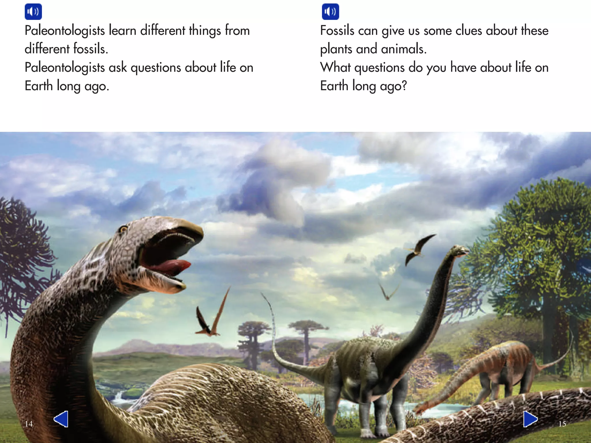 Fossils and Dinosaurs | PDF