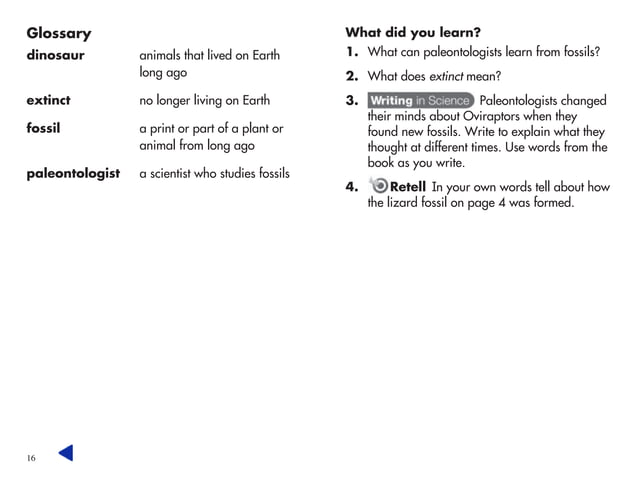 Fossils and Dinosaurs | PDF | Geology | Science