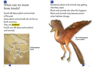 Fossils and Dinosaurs | PDF