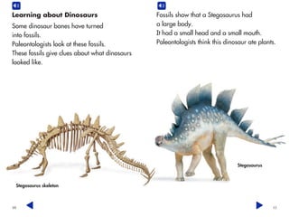 Fossils and Dinosaurs | PDF