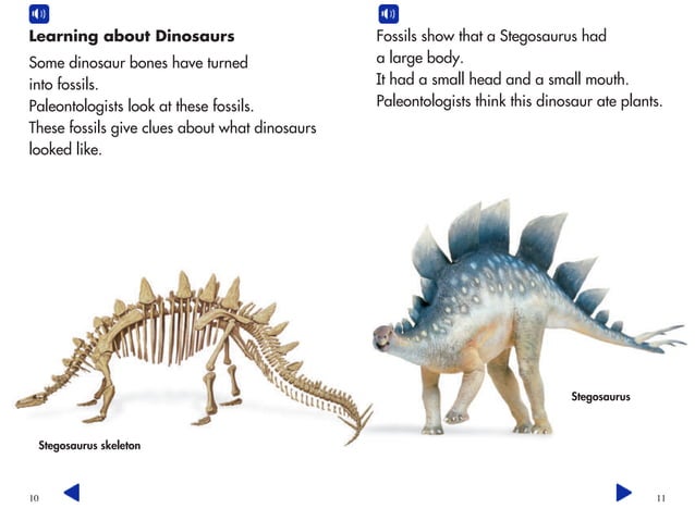 Fossils and Dinosaurs | PDF | Geology | Science