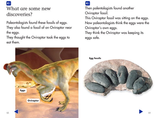 Fossils and Dinosaurs | PDF | Geology | Science