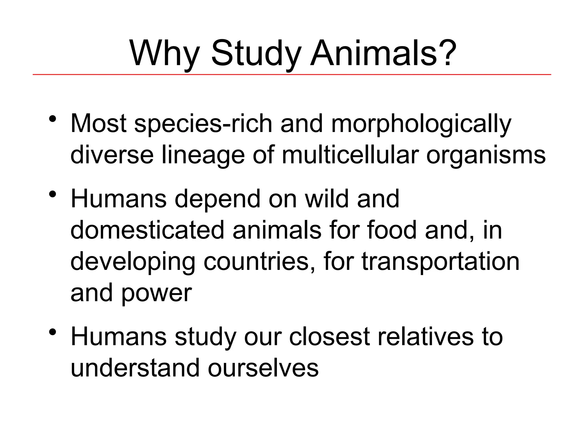 Biology - Animals: Classification, Evolution, Types | PPT