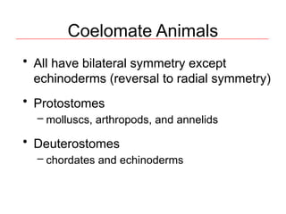 Biology - Animals: Classification, Evolution, Types | PPTX