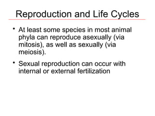 Biology - Animals: Classification, Evolution, Types | PPTX