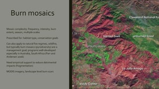 Impact of recent fire on trap nesting bees | PPTX