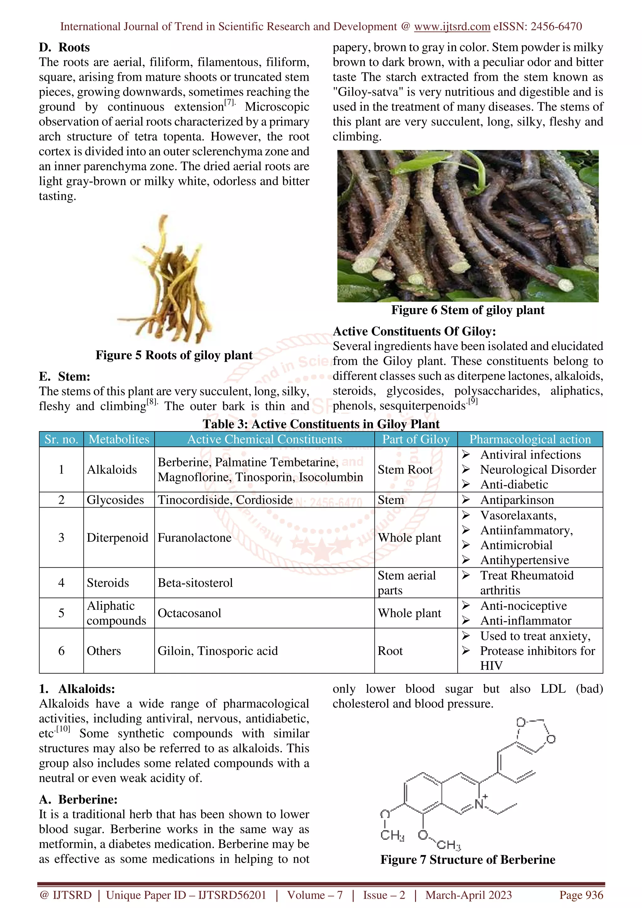 Tinospora Cordifolia A Green Treasure | PDF