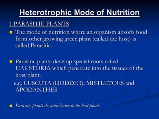 Nutrition in Plants | PPTX