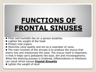 FRONTAL SINUS | PPTX