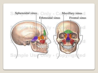 FRONTAL SINUS | PPTX