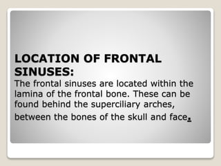 FRONTAL SINUS | PPTX