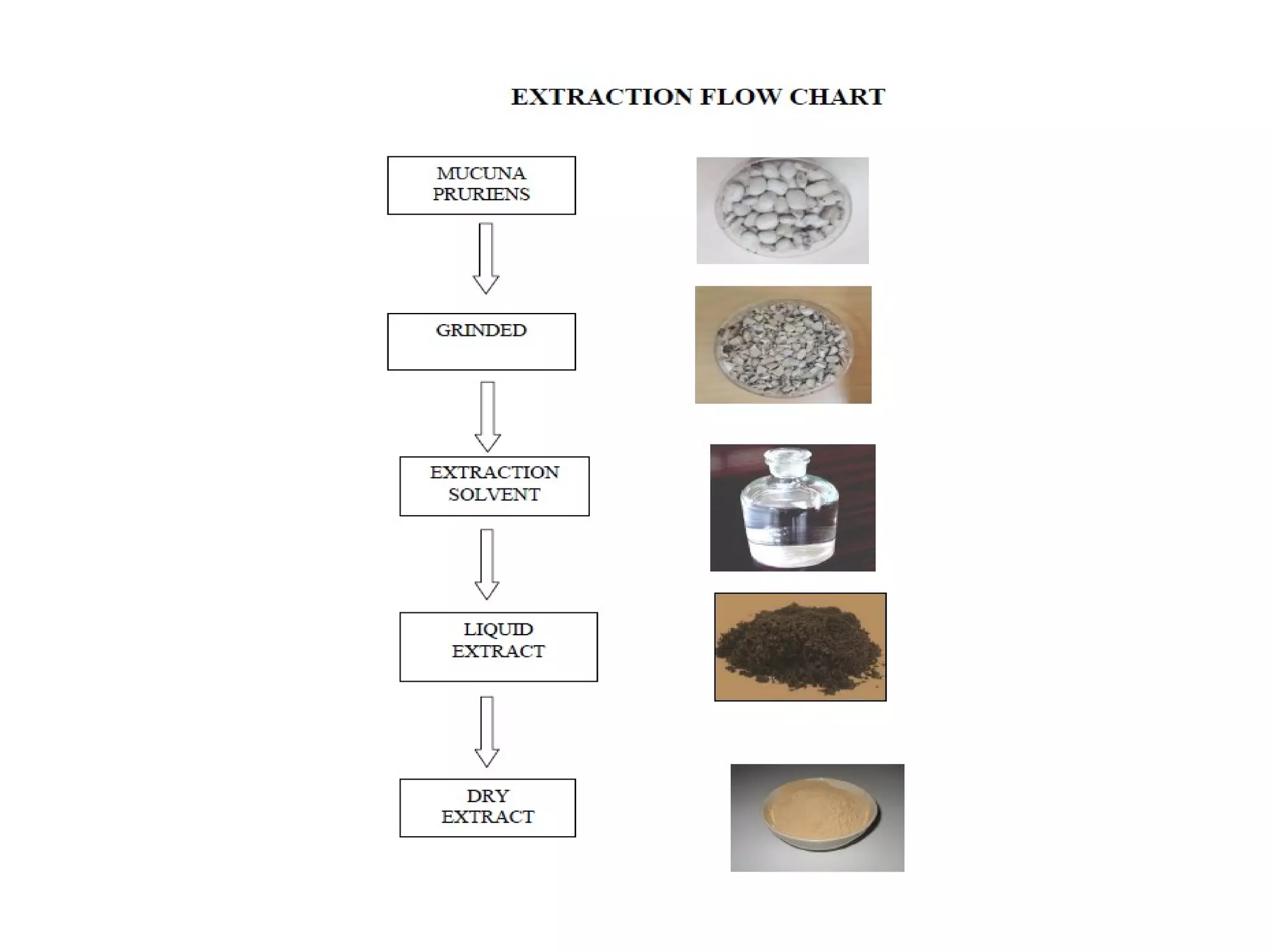 FORMULATION AND OPTIMIZATION OF L-DOPA EXTRACT TABLET FROM MUCUNA ...