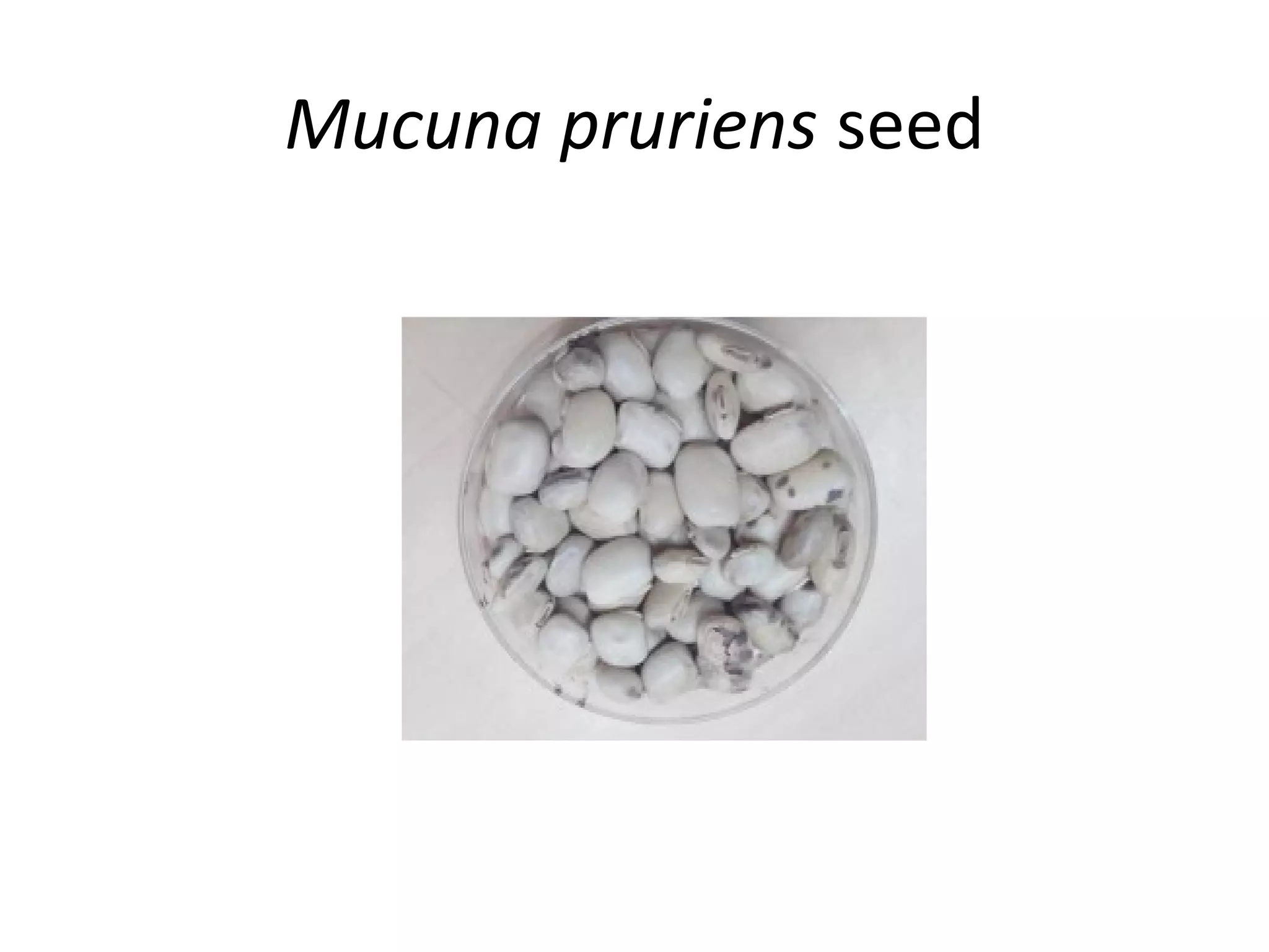 FORMULATION AND OPTIMIZATION OF L-DOPA EXTRACT TABLET FROM MUCUNA ...