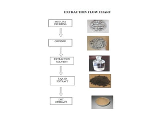 FORMULATION AND OPTIMIZATION OF L-DOPA EXTRACT TABLET FROM MUCUNA ...