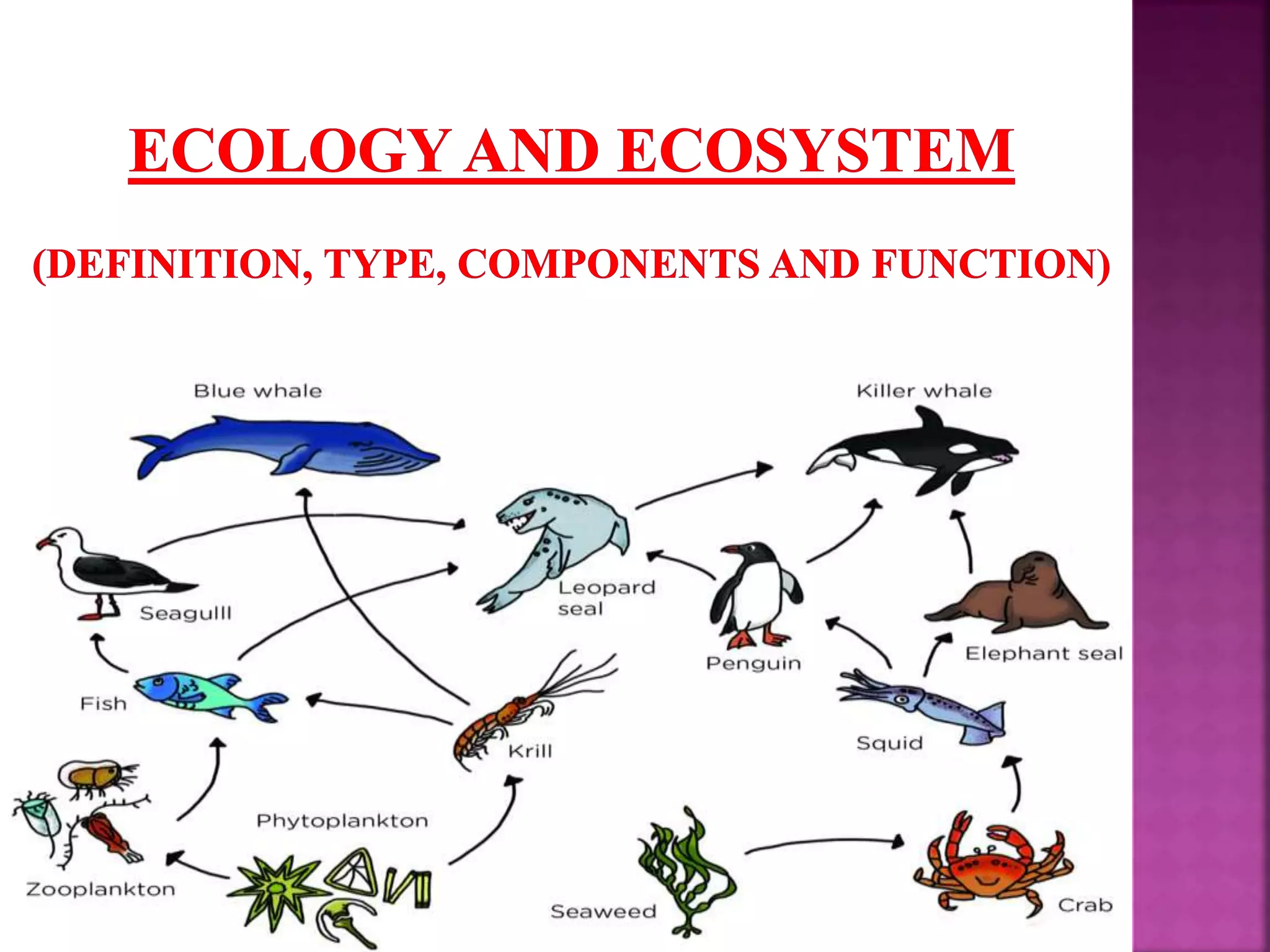 Ecology and Ecosystem | PPTX