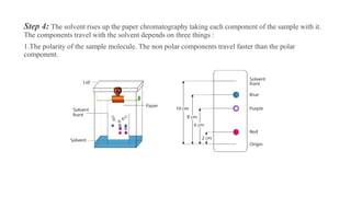 PAPER CHROMATOGRAPHY BY Rx PHARMEDICO | PPTX