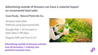 Amazon Strategies January 2019 | Perpetua | PDF