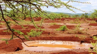 SA GLF Presentation greener.land