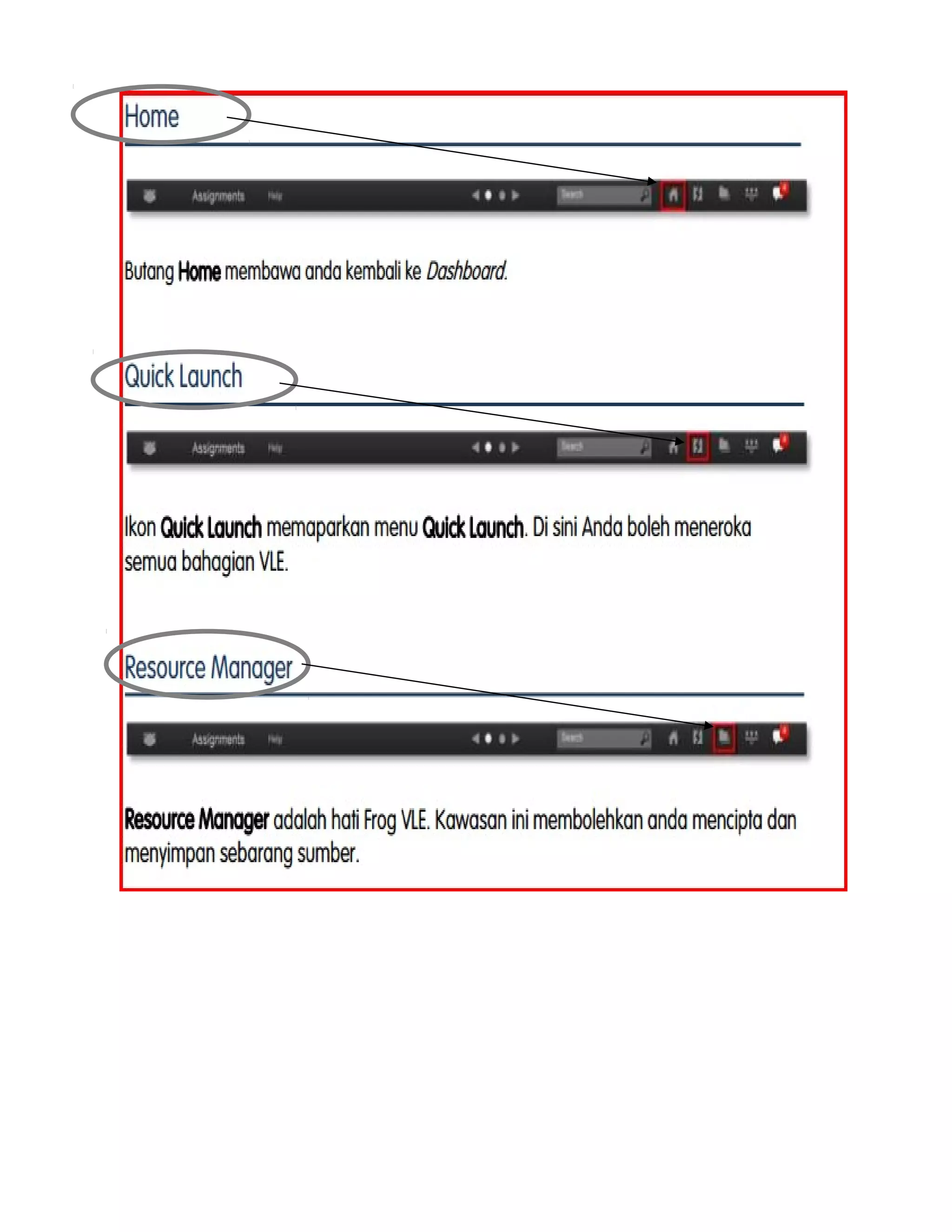 123274245 vle-frog | PDF