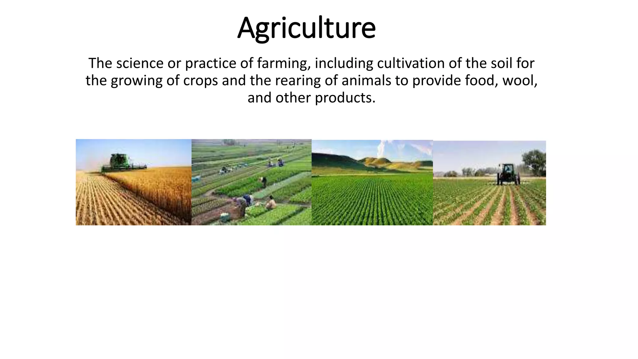 Agricultural biodiversity | PPTX