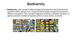 basic presentation on agricultural biodiversity | PPTX