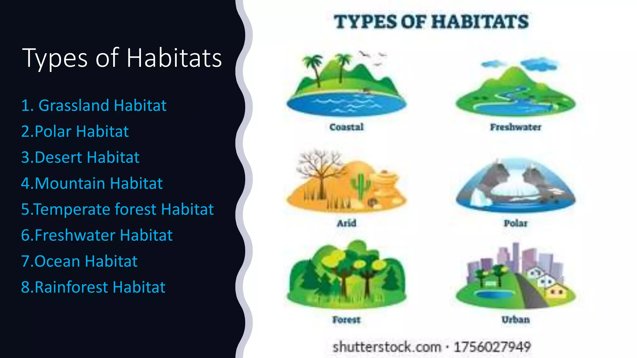 Habitats | Science presentation for Grade 7th by M.Hassaan Anjum | PPTX
