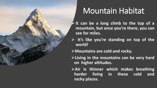 Habitats | Science presentation for Grade 7th by M.Hassaan Anjum | PPTX