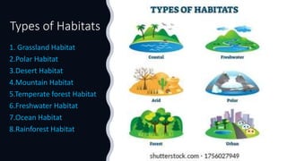 Habitats | Science presentation for Grade 7th by M.Hassaan Anjum | PPTX