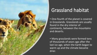 Habitats | Science presentation for Grade 7th by M.Hassaan Anjum | PPTX