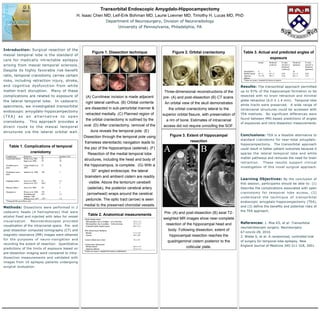 12342.Transorbital Endoscopic Amygdalo-Hippocampectomy | PPT