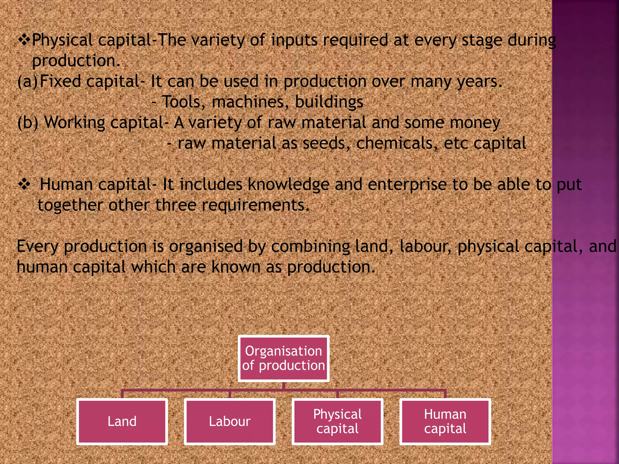 Economics Chapter 1 Notes Class 9 | PPTX