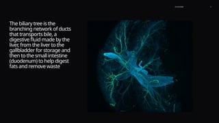 BILIARY TREE RADIOLOGY ADVANCE IMAGING (USG, CT SCAN, MRI AND ERCP) OF ...