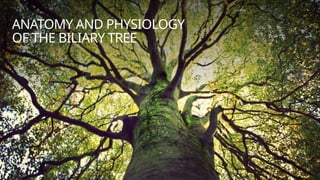 BILIARY TREE RADIOLOGY ADVANCE IMAGING (USG, CT SCAN, MRI AND ERCP) OF ...
