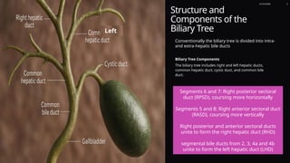 BILIARY TREE RADIOLOGY ADVANCE IMAGING (USG, CT SCAN, MRI AND ERCP) OF ...