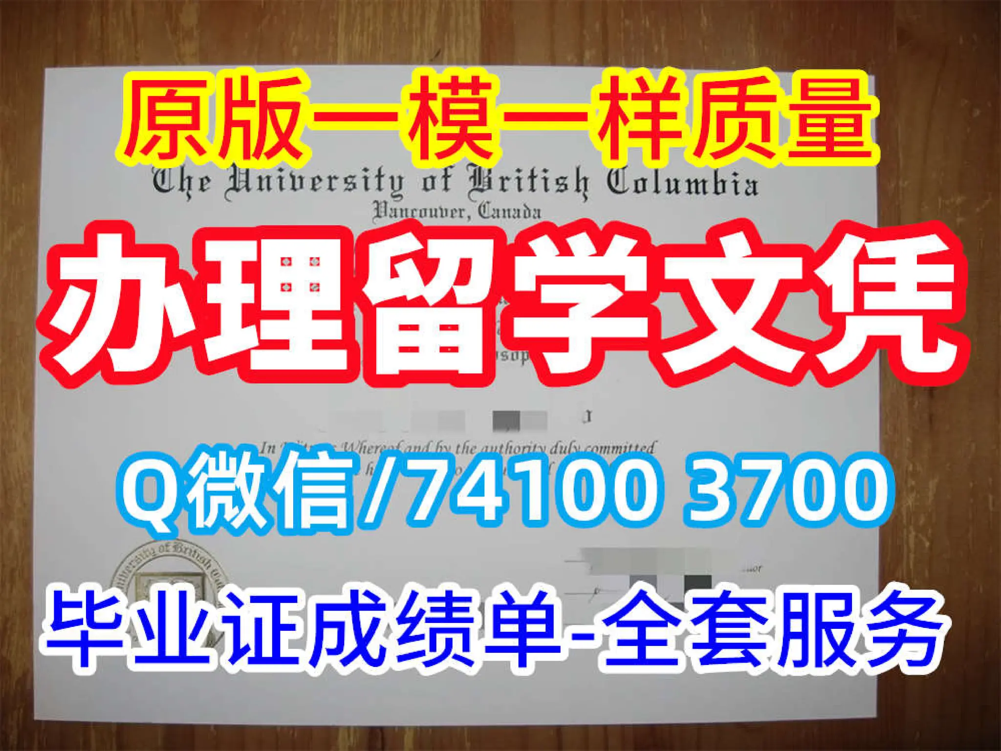 CITY Master Degree | PDF