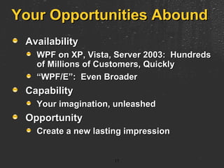 Windows Presentation Foundation: The Opportunity for WPF Applications ...