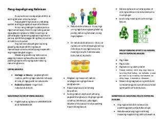 123950973-proper-waste-disposal.docx