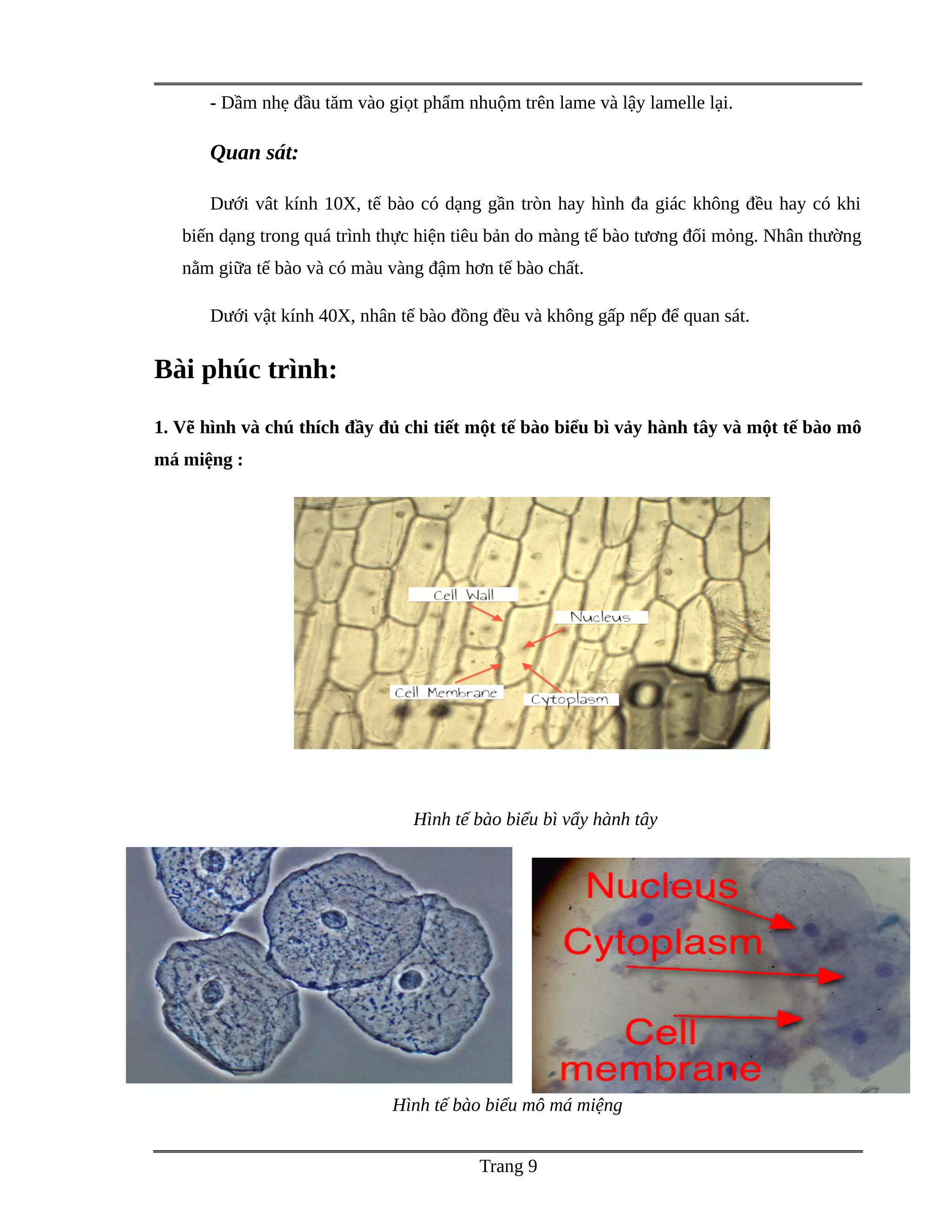 [123doc] - bai-bao-cao-thuc-hanh-sinh-hoc-dai-cuong.pdf