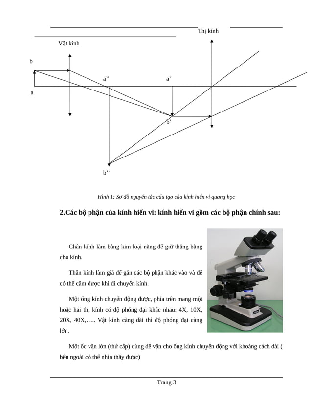[123doc] - bai-bao-cao-thuc-hanh-sinh-hoc-dai-cuong.pdf